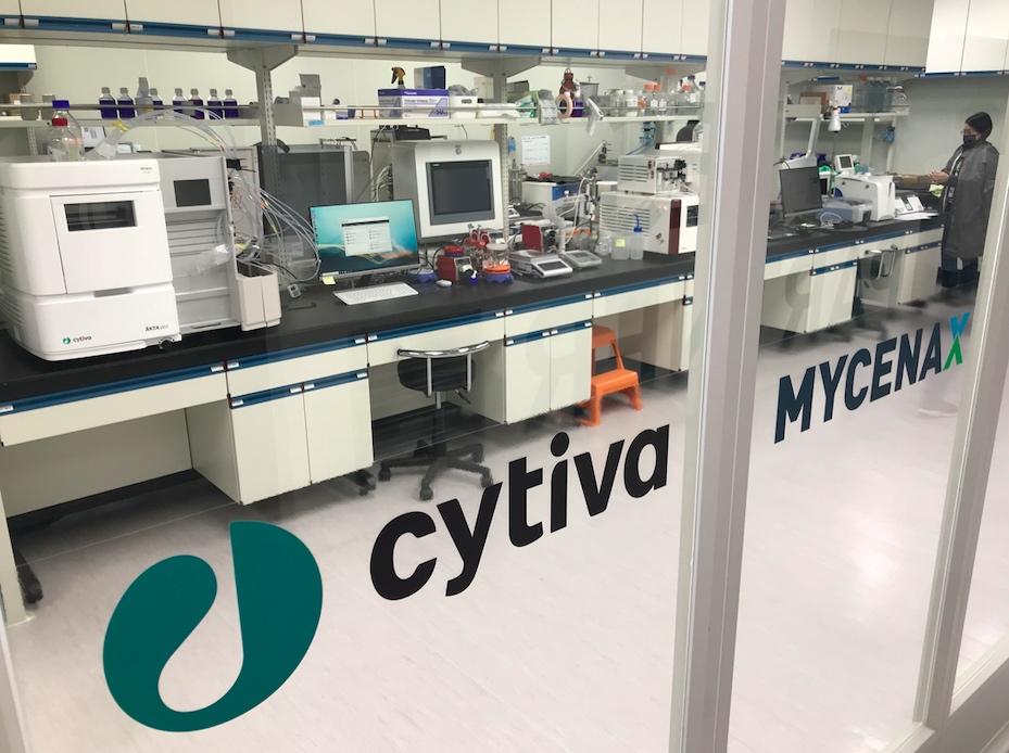 Cytiva手把手教你細胞治療技術 – 新揚行專業醫材